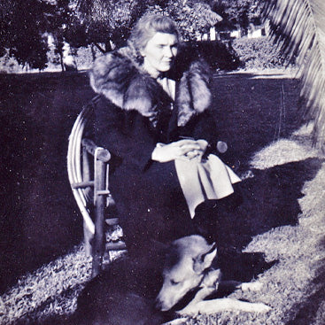 Casa del Rio Collection